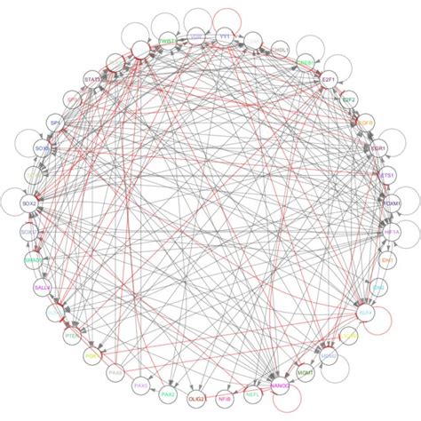 Gene Regulatory Network For Single Cell Rna Sequencing Of The Tumor