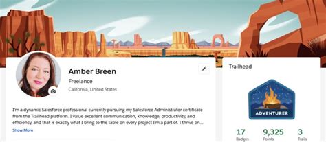 Amber Breen On Linkedin Salesforce Salesforcetraining Salesforceadmin Salesforcecommunity…