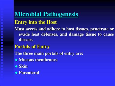 Ppt Chapter 15 Microbial Pathogenesis Powerpoint Presentation Free