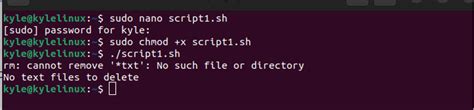 Bash でコマンドが成功したかどうかを確認する方法