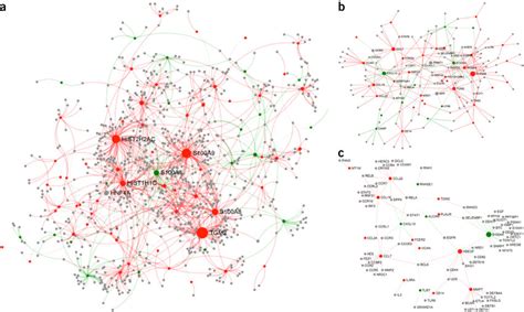Network Customization And Module Extraction A The Same Network As In