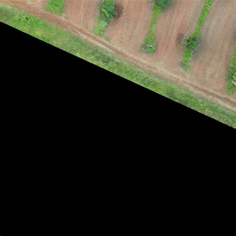 Tree Annotation Cite 1 V2 Computer Vision Dataset By Nmagri