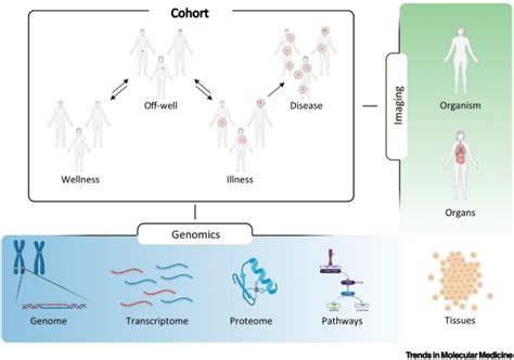 Imaging Genomics Data Fusion In Uncovering Disease Heritability Gevaert Lab Stanford Medicine