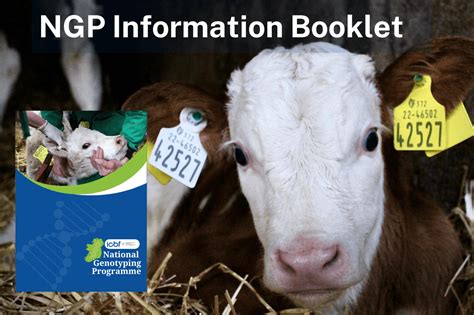 National Genotyping Programme Information Booklet Icbf