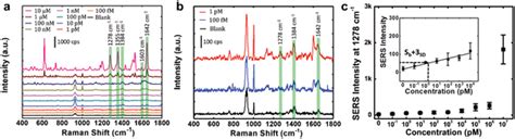 Sers‐based Detection Of Rhb On The To‐nanopaper‐based Sers Multiwell