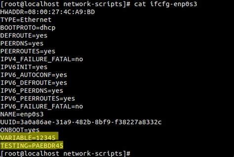Wrong Network Config File