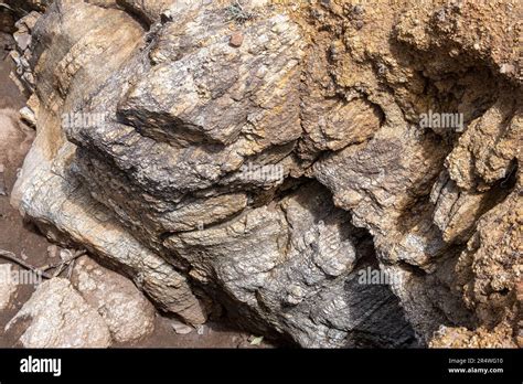 Rock Outcrop Of Precambrian Gneiss A High Grade Metamorphic Rock