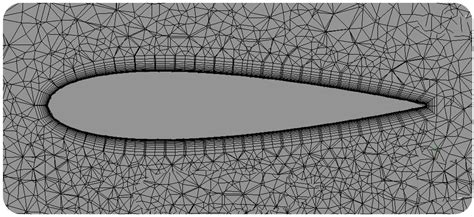 Vorticity And Its Relationship To Vortex Separation Dynamic Stall And