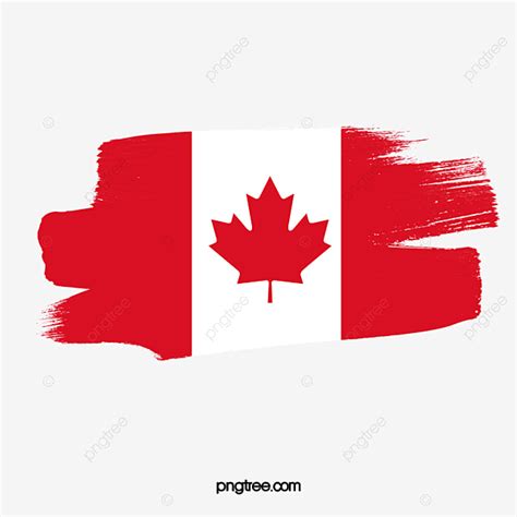 캐나다 국기 브러시 효과 캐나다 빨간 단풍잎무료 다운로드를위한 Png 및 Psd 파일