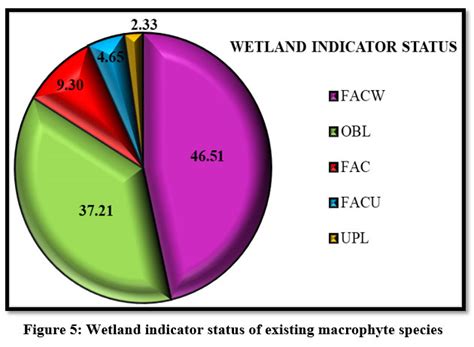Diversity Of Aquatic Macrophyte Species Of Pardi Wetland Valsad District Gujarat India