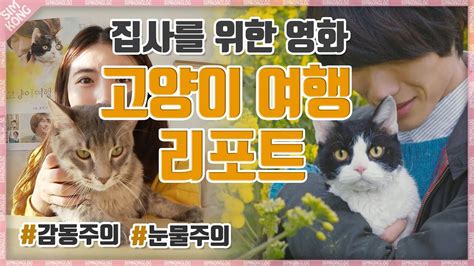 고양이 영화보고 폭풍눈물 쏟고 왔어요ㅠㅠ 구독자 선물 이벤트가 있어요 Youtube