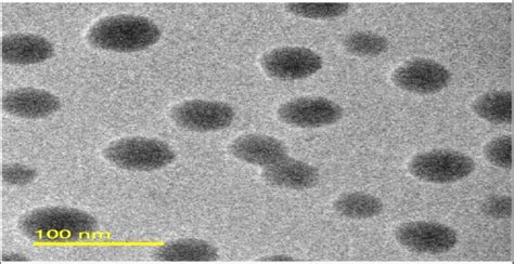 Transmission Electron Microscope Image Of Nano Selenium Derived From Download Scientific
