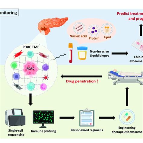 Overview And Future Perspectives Disease Monitoring Pdac Or Tumour