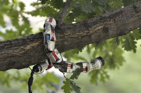 Biorobotics Pictures And Video Cmu Biorobotics