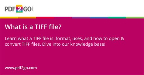 What Is A Tiff File What Is A Tiff File