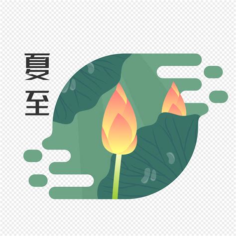 여름 로터스 일러스트 Png 일러스트 및 벡터 이미지 무료 다운로드 Lovepik