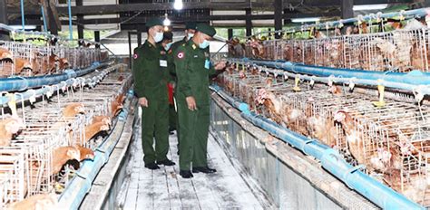 ဒေသတွင်းစိုက်ပျိုး၊ မွေးမြူရေးနှင့် ကုန်ထုတ်လုပ်မှုလုပ်ငန်းများ ရာနှုန်းပြည့် ဆောင်ရွက်နိုင်ရေး