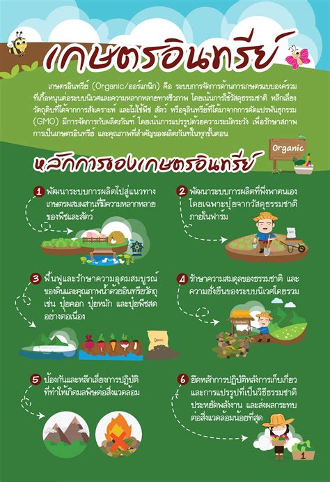 คู่มือเกษตร Organic ศูนย์การศึกษานอกระบบและการศึกษาตามอัธยาศัยอำเภอคง หน้าหนังสือ 2 พลิก
