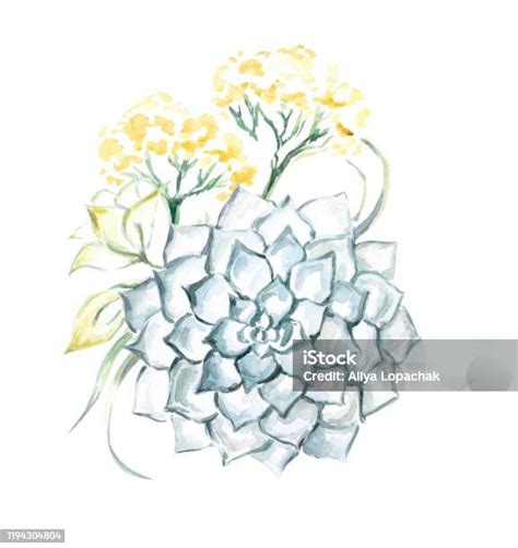 잎이 있는 하얀 꽃입니다 즙 줄기에 노란색 꽃입니다 구성 흰색 배경에 꽃의 수채화 그림입니다 0명에 대한 스톡 벡터 아트 및 기타 이미지 Istock