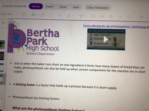 Limiting Factors Flashcards Quizlet