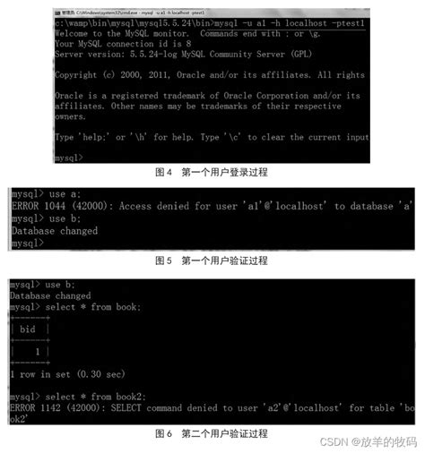 小研究 基于 Mysql 数据库的数据安全应用设计（二）有关mysql安全站库设计的论文 Csdn博客
