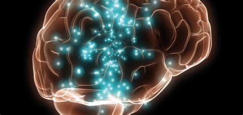 Strumenti E Tecniche Per Le Neuroscienze Cognitive