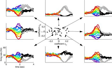 Linking The Single Cell And Population Level Using The Coordinate Download Scientific Diagram
