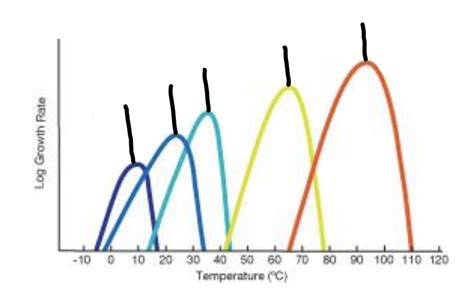 04 The Effects Of Temperature And Osmotic Pressure Diagram Quizlet
