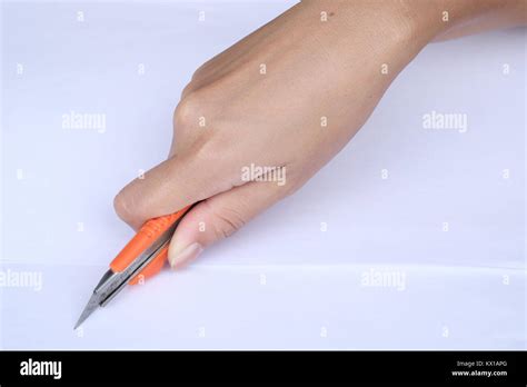 Women Hands Cutting Stock Photo Alamy