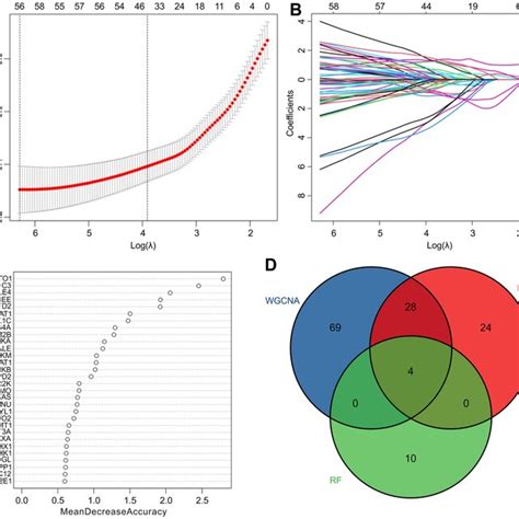 Identification Of Diagnostic Feature Biomarkers Via Multiple Machine Download Scientific