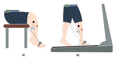 Neuroprosthesis And Functional Electrical Stimulation 54 Off