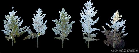 基于欧氏距离的点云聚类（python）欧式聚类 Csdn博客