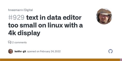 Text In Data Editor Too Small On Linux With A K Display Issue Hneemann Digital GitHub