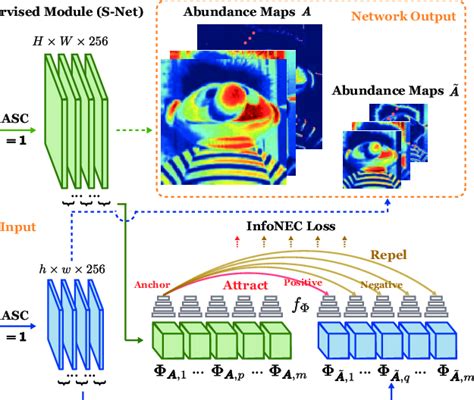 An Illustration Of S Net Module Download Scientific Diagram