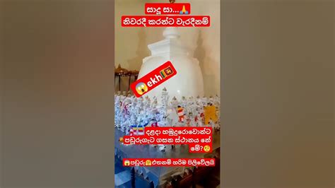 🙏මේ තැනනම් තියේන්නෙ උතුම් දන්ත ධාතුන් වහන්සේ වැඩසිට්න දළදා මාළිගවේ මහනුවර😌🇱🇰 Srilanka Maligawa