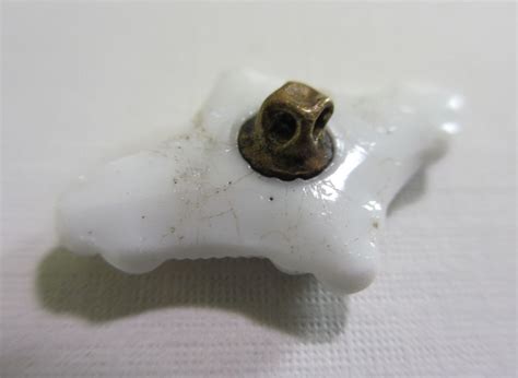 Glass Imitation Fabric Western Regional Button Association