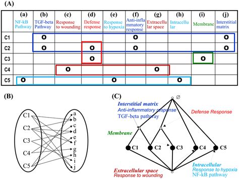 Concept Lattice The Binary Relation Set R { C1 B C1 F C1 J