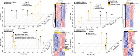 Global Transcriptome Analysis Comparing Tissue From Rodents In Aem Vs