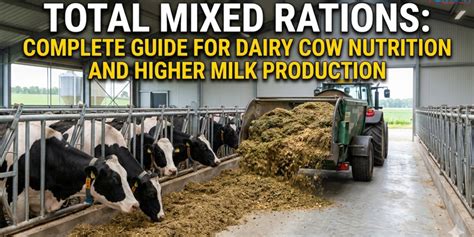 Total Mixed Rations For Dairy Cows Benefits And Feeding Guide