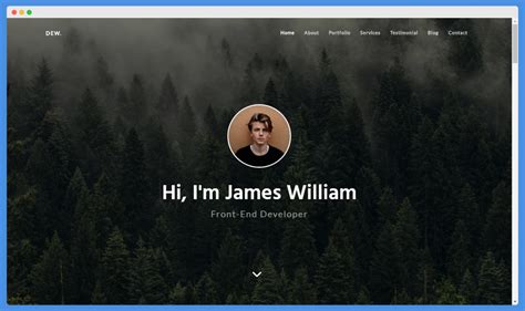 30 Best Software Developer Portfolio Template Free And Paid Rigorous Themes
