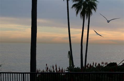 Seema Patel Phd On Linkedin Worklifebalance Writing Medium