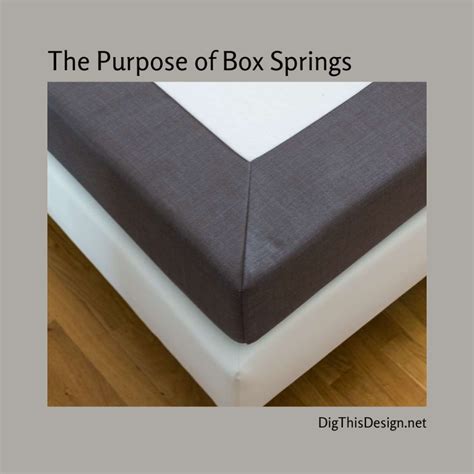 Why Are They Called Box Springs At Alfred Wilford Blog
