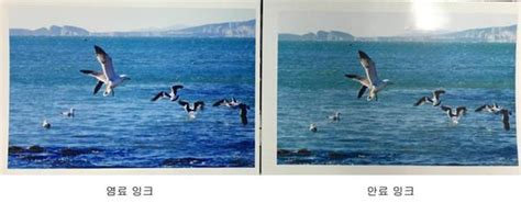 잉크젯 프린터 텍스트 인쇄는 정상이나 사진 또는 도형에 가는 실선이 보임