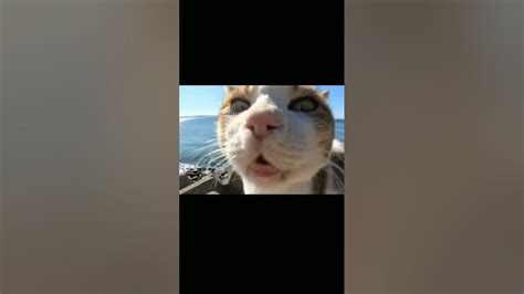 Ooooooooooooooooooooo Youtube