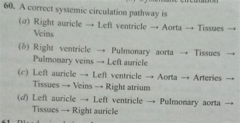 A Correct Systemic Circulation Pathway Is Filo