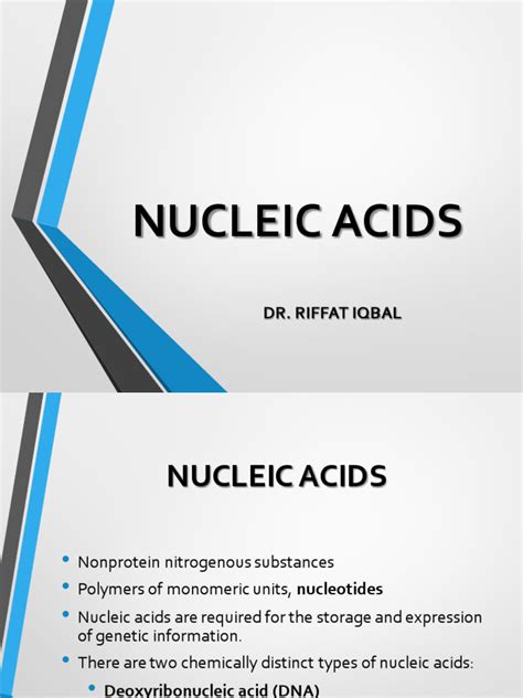 Nucleic Acids Lecture Download Free Pdf Dna Rna