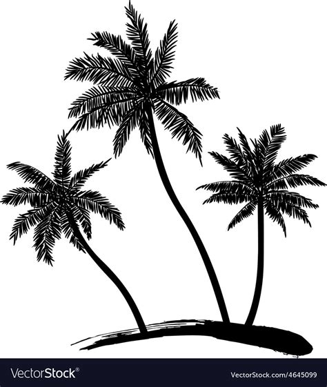 Coconut Tree Royalty Free Vector Image Vectorstock