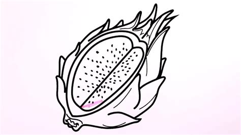 火龙果手绘图片简笔画 火龙果简笔画简单 大山谷图库