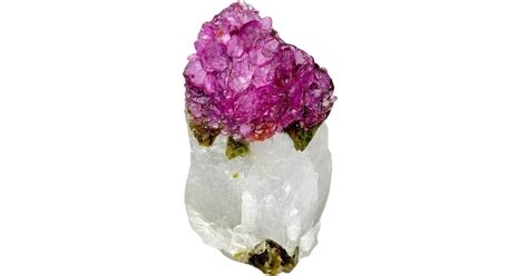 Everest Ruby Rock Chasing