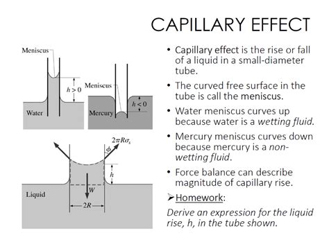 Solved Capillary Effect • Capillary Effect Is The Rise Or
